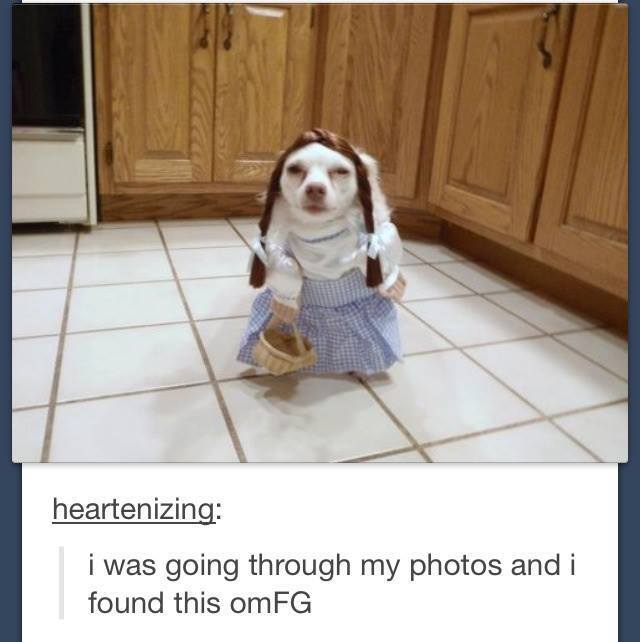 cute - Meme by IsaiahSaenz20 :) Memedroid