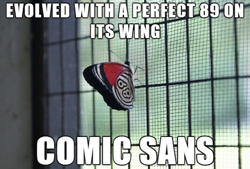 times new roman - Meme by WhatDoWeHaveHere :) Memedroid