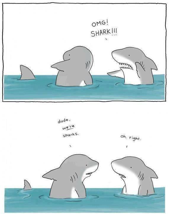 Eek! - Meme by panglong :) Memedroid