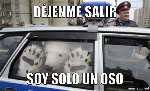 El oso - Meme subido por Jetmaxx :) Memedroid
