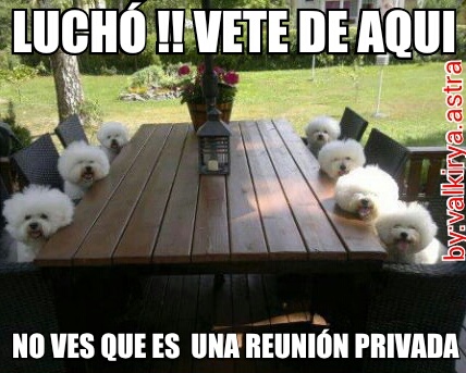 largate lucho - Meme subido por valkirya.astra :) Memedroid