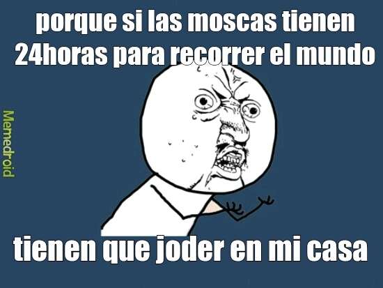 moscas!! - Meme by ecenteno851 :) Memedroid