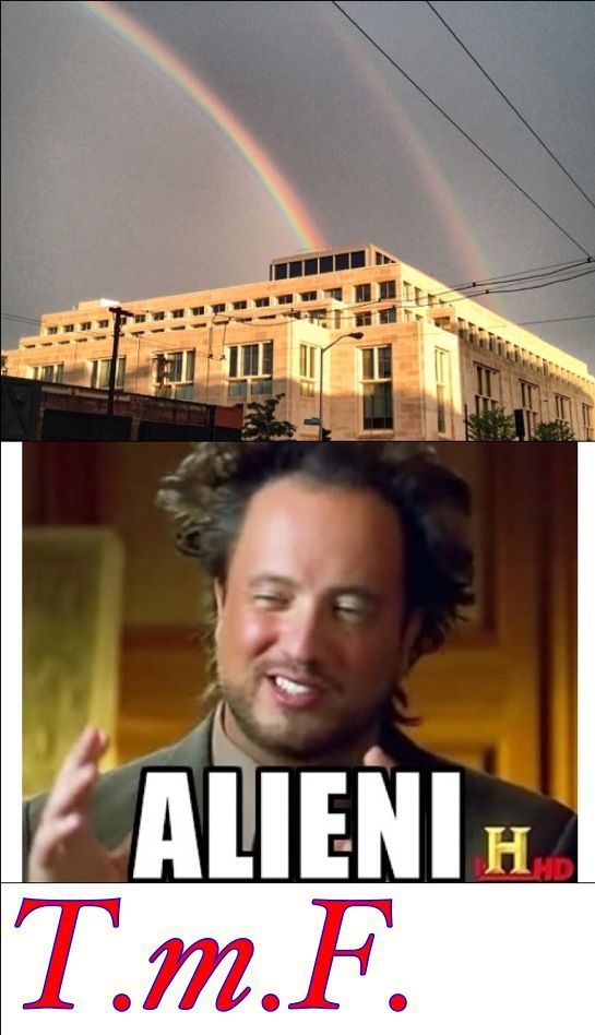 T.m.F - Meme by trollmemeface :) Memedroid