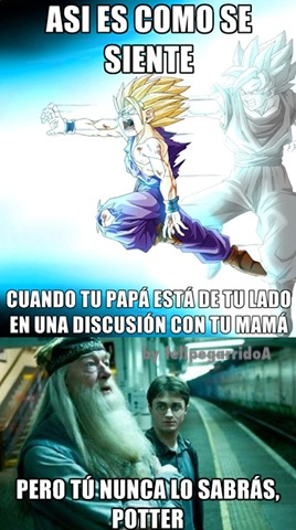 qlo pesao con peroloso by felipegarridoA - Meme by felipegarridoA ...