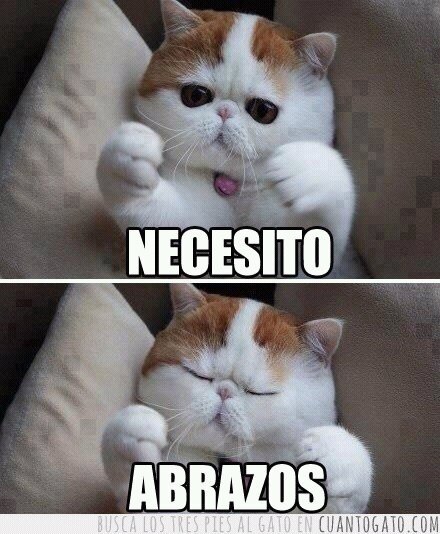 Imagenes De Abrazos Memes