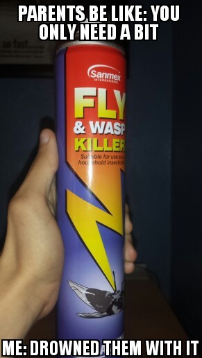 Flies beware - Meme by ndunn516 :) Memedroid