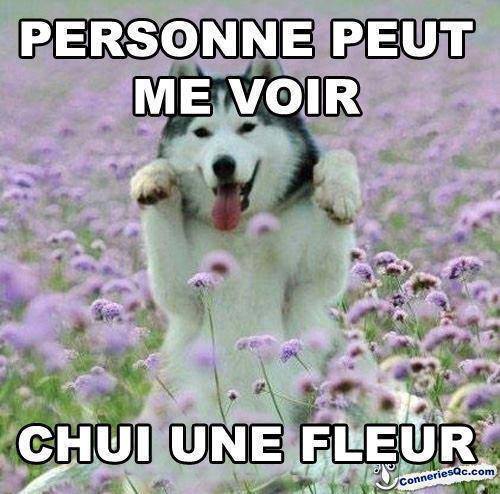 je suis une fleur - Meme by Chuck-eddie :) Memedroid