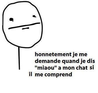 Miaou - Meme by Chuck-eddie :) Memedroid