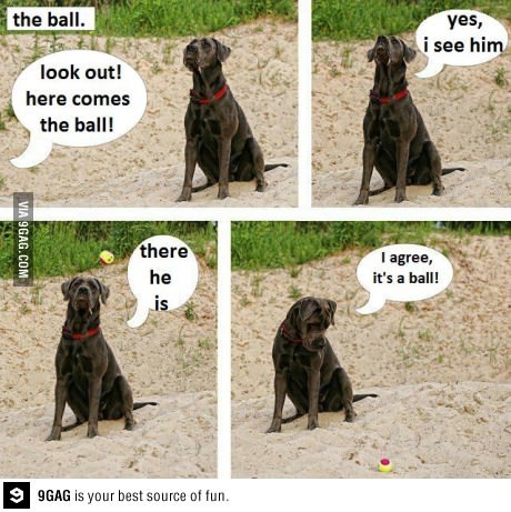 the ball - Meme by Kayleb_17 :) Memedroid
