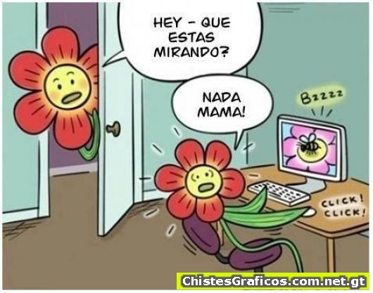 flores quien las viera - Meme subido por lomodoredo :) Memedroid