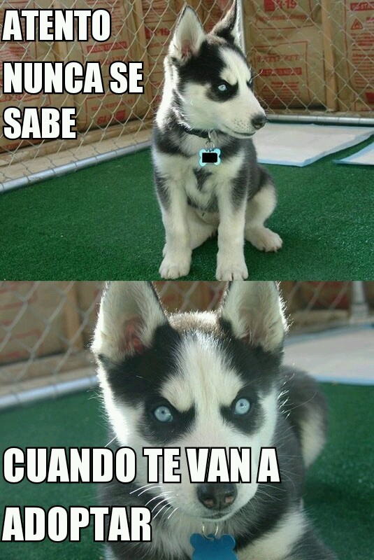 atento - Meme subido por elpabluskyXP :) Memedroid