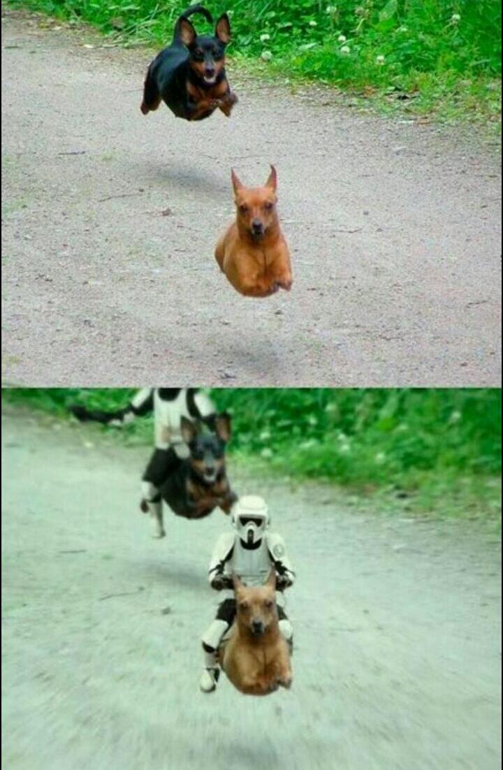 lololol - Meme by epinela01 :) Memedroid