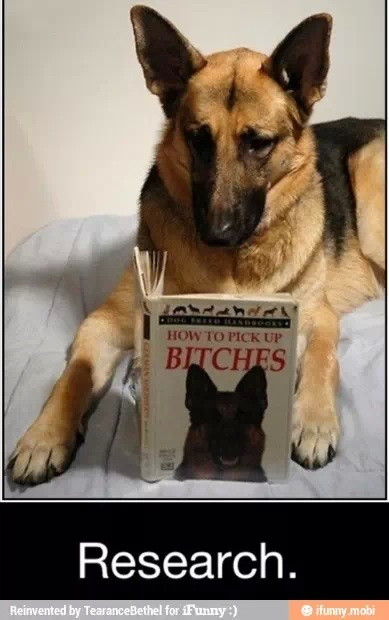 Spare time - Meme by Me gusta tacos :) Memedroid