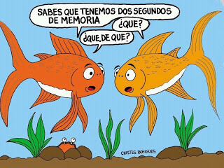 peces - Meme subido por foan007 :) Memedroid