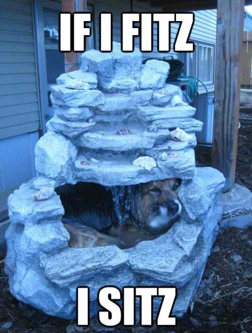 sitz - Meme by CherryBlitz :) Memedroid