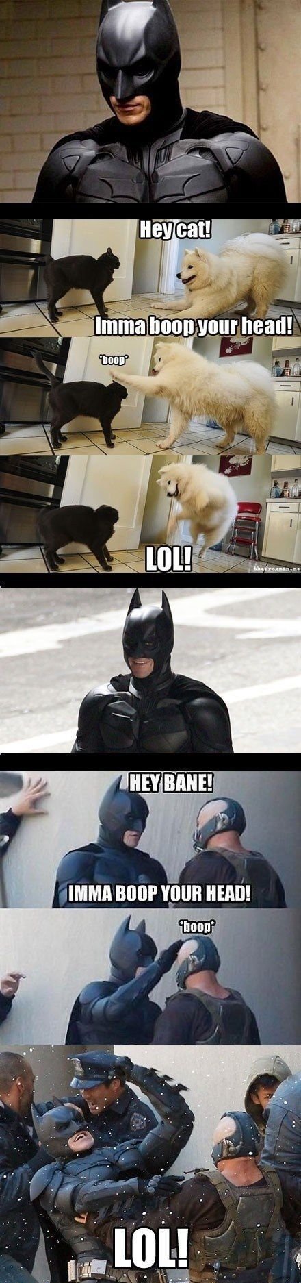 Batman Bane Memes