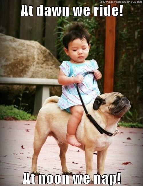 at dawn! - Meme by EmanDerper40 :) Memedroid