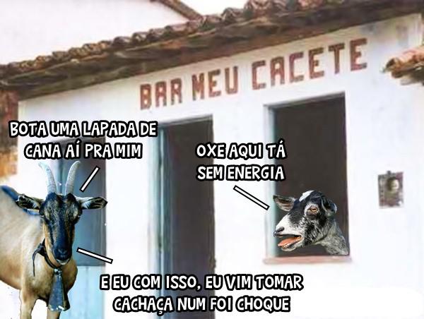 bode gaiato - Meme by Itto :) Memedroid