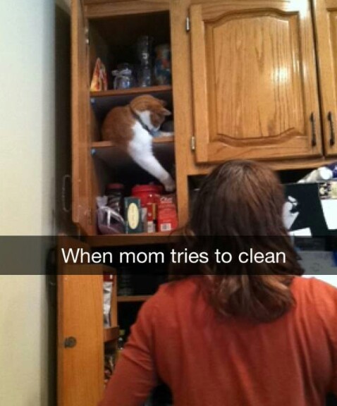 Cleaning - Meme by BigD :) Memedroid