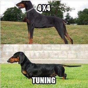 4x4 VS tuning - Meme by PedroFernando01 :) Memedroid