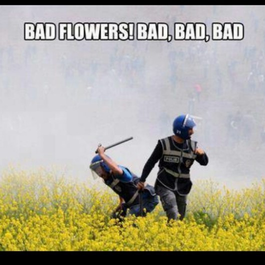 Bad flowers - Meme subido por loco-jones :) Memedroid