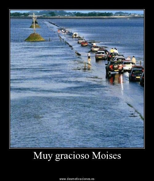 moises - Meme subido por 01willy95 :) Memedroid