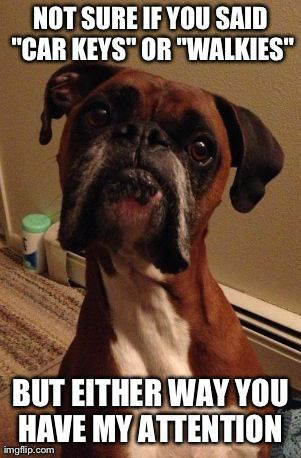 daww - Meme by Crystal224 :) Memedroid