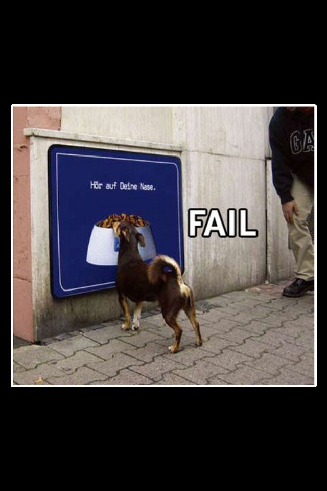 Pobre perro - Meme subido por pablosxky :) Memedroid