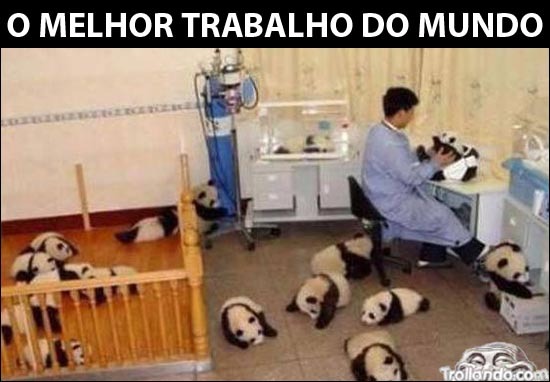 melhor trabalho - Meme by luanrodrigues402 :) Memedroid