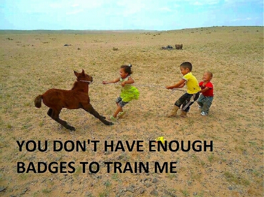 better get that badge - Meme by pewpewpew :) Memedroid