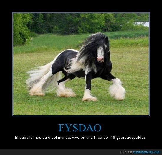 caballo - Meme subido por yo-4 :) Memedroid
