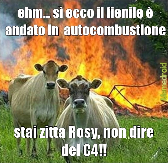 C4 - Meme by riky64.an :) Memedroid