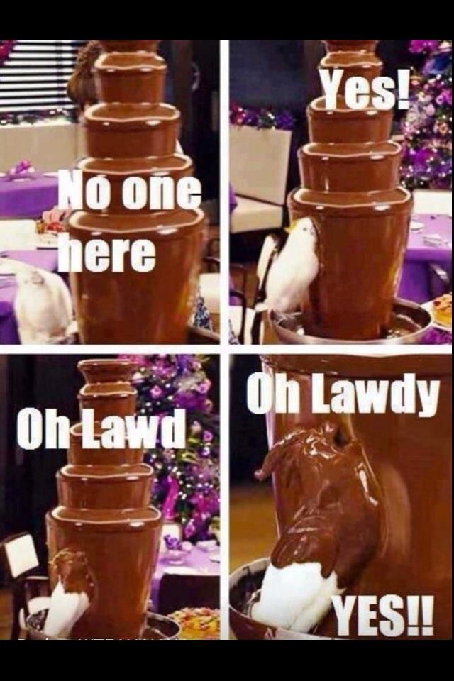 oh lordy - Meme by FateIsFallen :) Memedroid