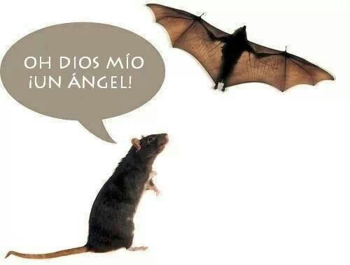 un angel - Meme subido por IRDA2 :) Memedroid