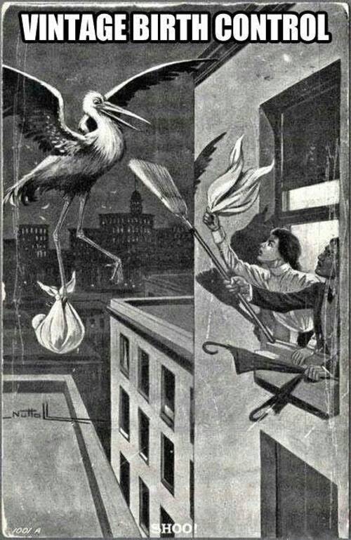 shoo! - Meme by Pud3000 :) Memedroid