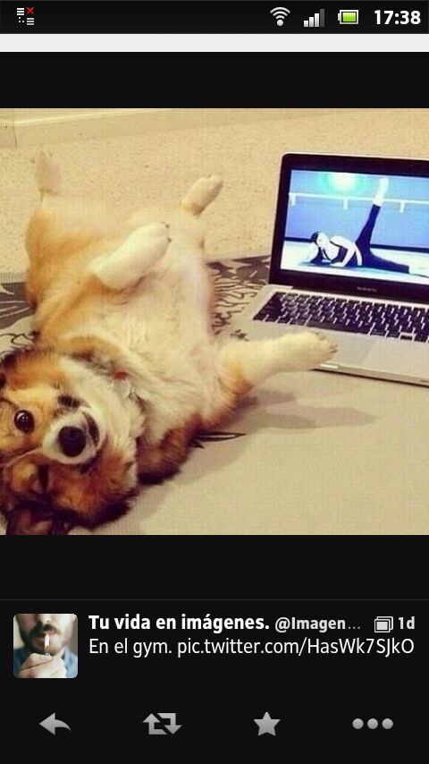 hacer ejercicio - Meme subido por Neo14 :) Memedroid