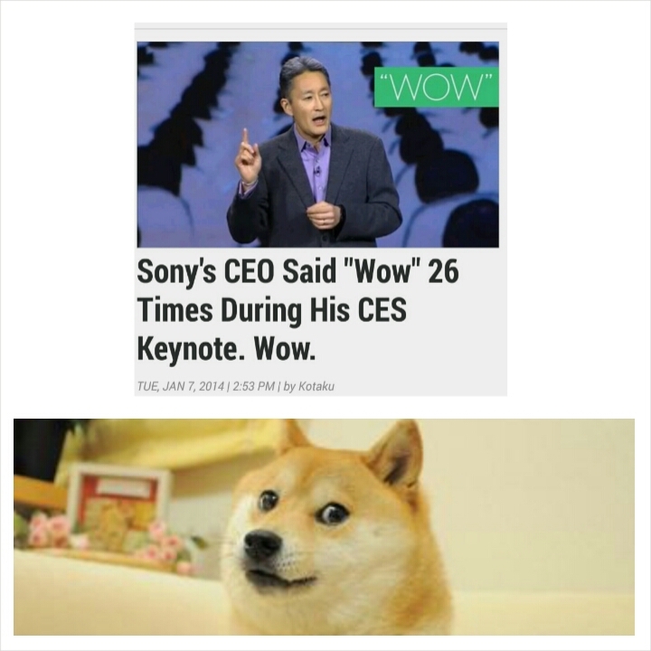 wow. Such sony - Meme by mattattack227 :) Memedroid