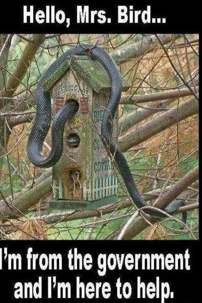 the snakes just like hello, im here for a visit - Meme by shutup ...