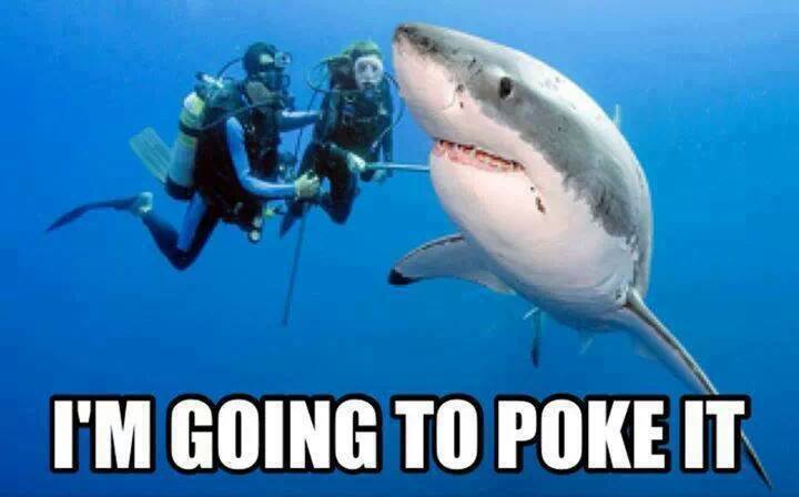 poke - Meme by dragojager :) Memedroid