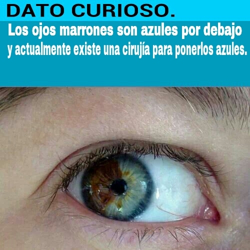 Soy de ojos azules xD - Meme subido por edwardtorres745 :) Memedroid