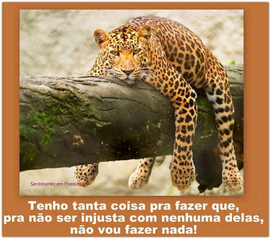 Meme by pedro.matos :) Memedroid