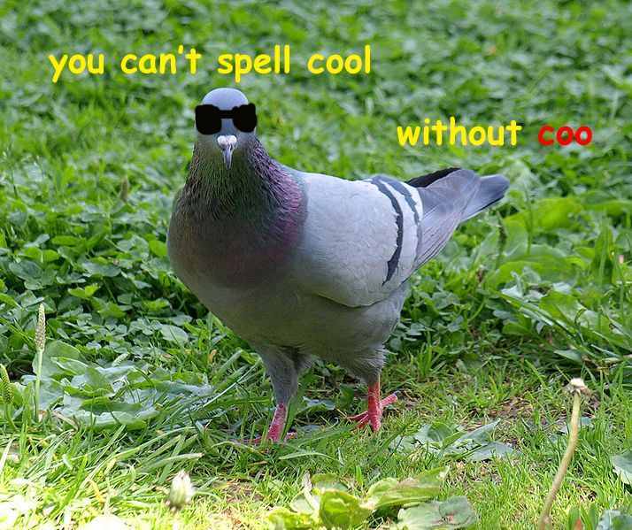 Damn straight. - Meme by TheOmegaOperative :) Memedroid