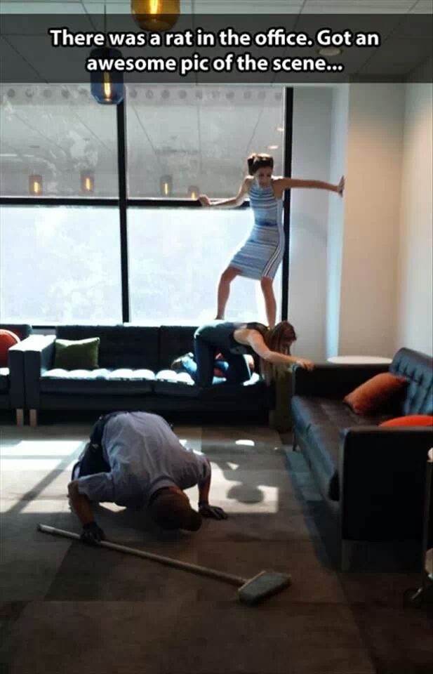 rat!! - Meme by roy.af :) Memedroid