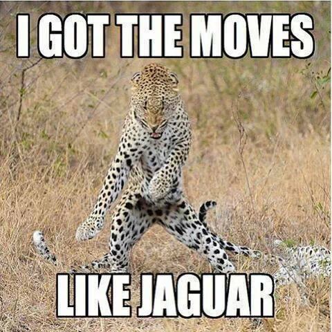 I got the move - Meme subido por sabiasque :) Memedroid