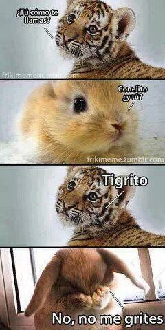 tigrito - Meme by miriri25 :) Memedroid