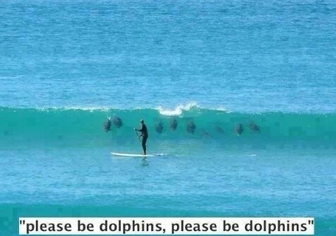 pls - Meme by pmartrules :) Memedroid