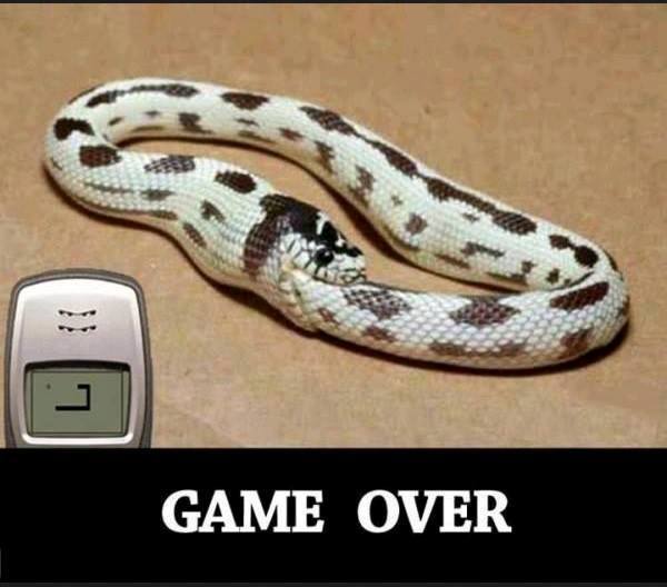 Game over - Meme by IyzwanAng :) Memedroid