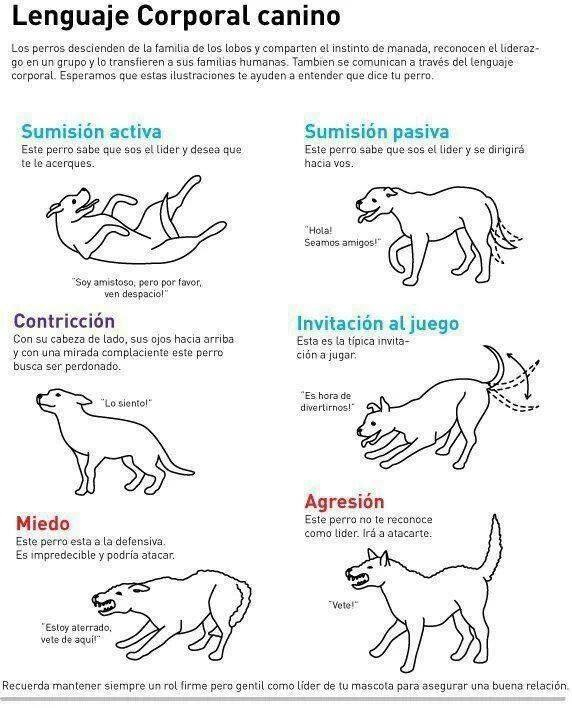 Fggfd - Meme subido por martingp18 :) Memedroid