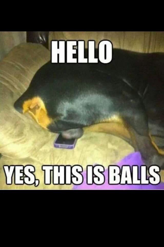 this is balls - Meme by ktmty :) Memedroid