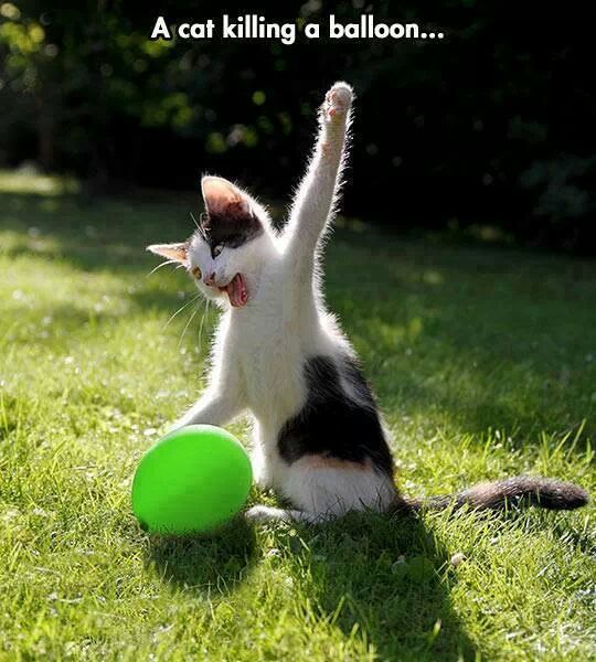 You shall perish! - Meme by ashangel92 :) Memedroid